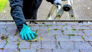 The Ultimate Guide to a Composition Roof: Everything You Need to Know ...