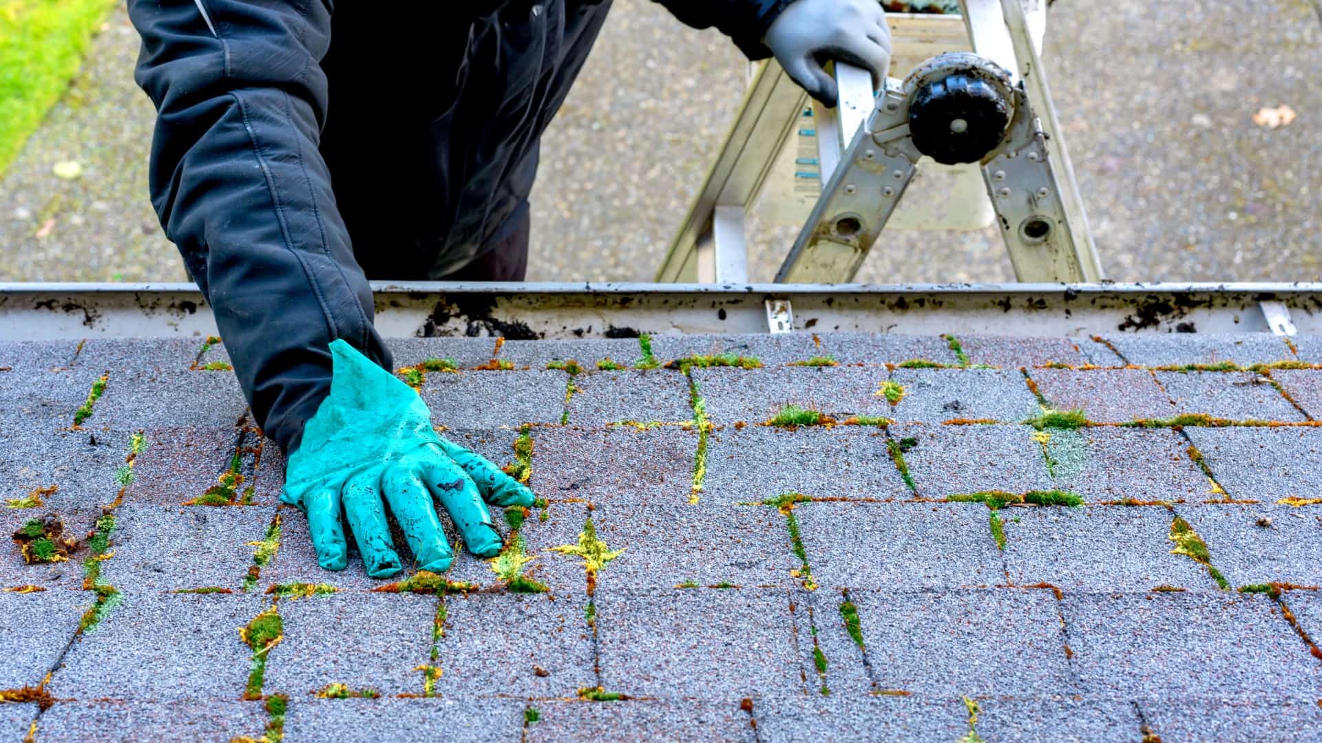 The Ultimate Guide to a Composition Roof: Everything You Need to Know ...